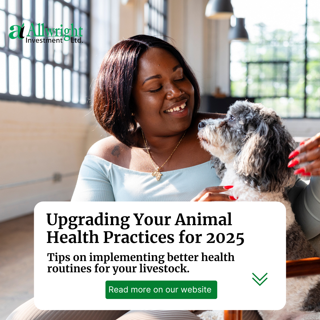 Upgrading Your Animal Health Practices for 2025 - Allwright Investment Ltd
