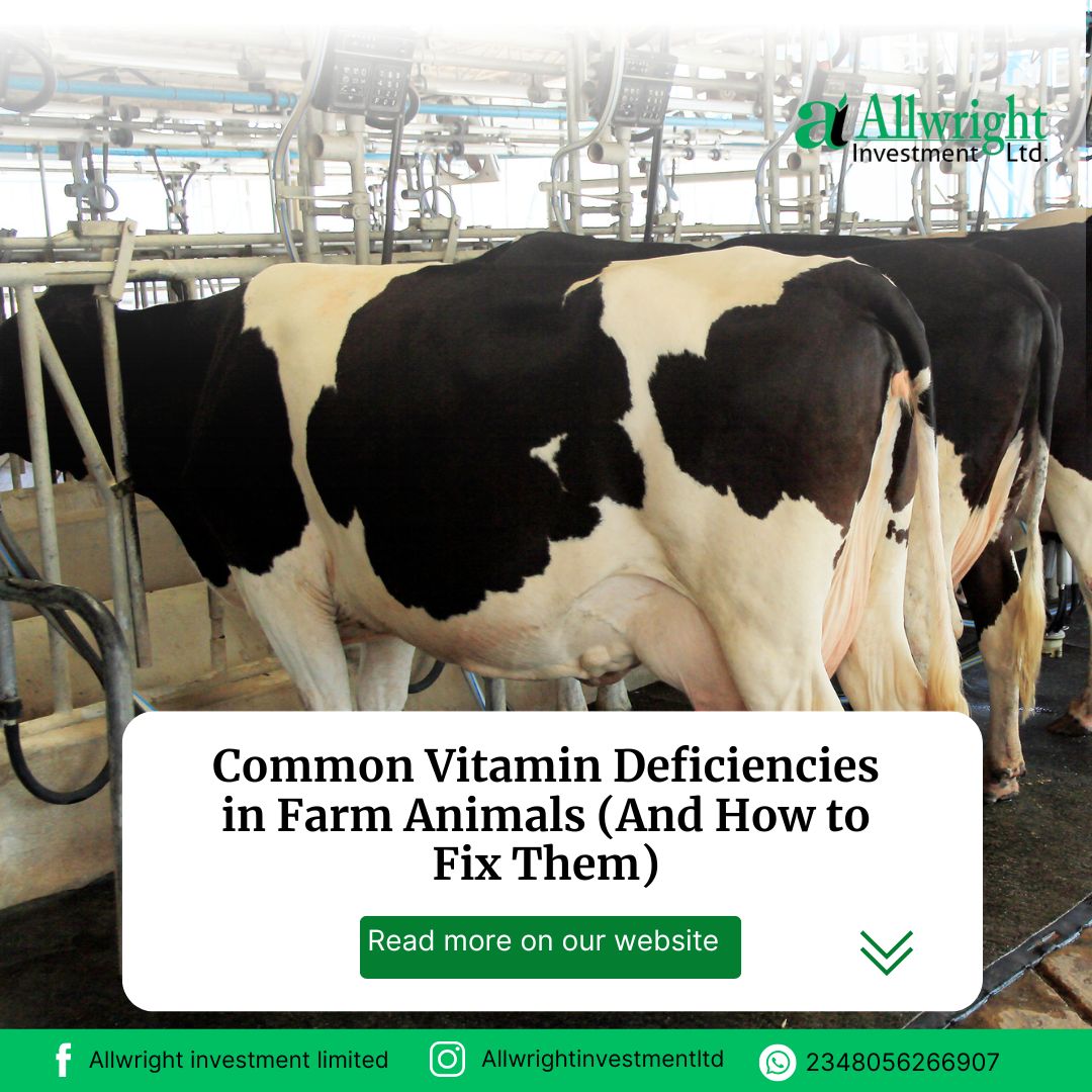 Common Vitamin Deficiencies in Farm Animals (And How to Fix Them ...